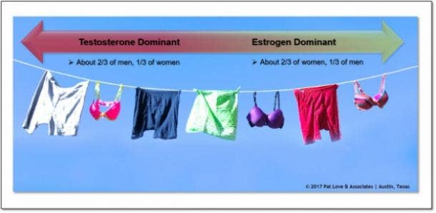Whats Your Sexual Style Why Estrogen Dominant And Testosterone Dominant People Are So